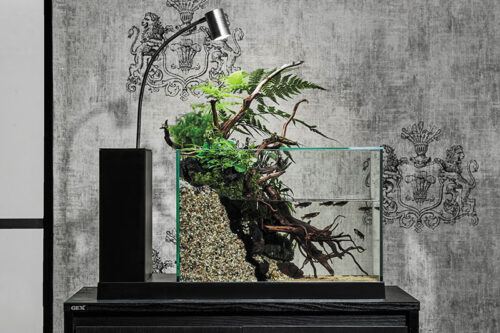 GEX aquarista AQUA-U WIDE / ジェックス株式会社 | GOOD AQUARIUM Design Award