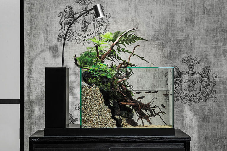 GEX aquarista AQUA-U WIDE / ジェックス株式会社 | GOOD AQUARIUM Design Award