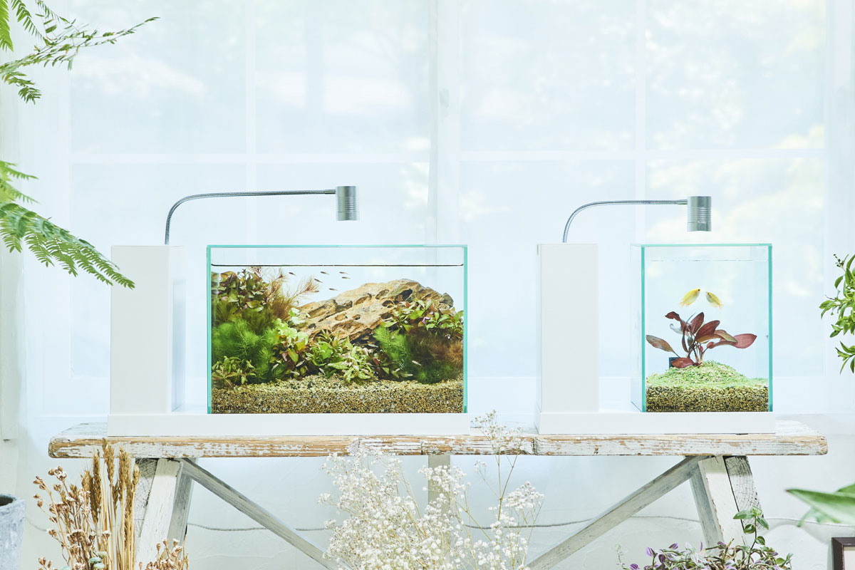 GEX aquarista AQUA-U WIDE / ジェックス株式会社 | GOOD AQUARIUM Design Award