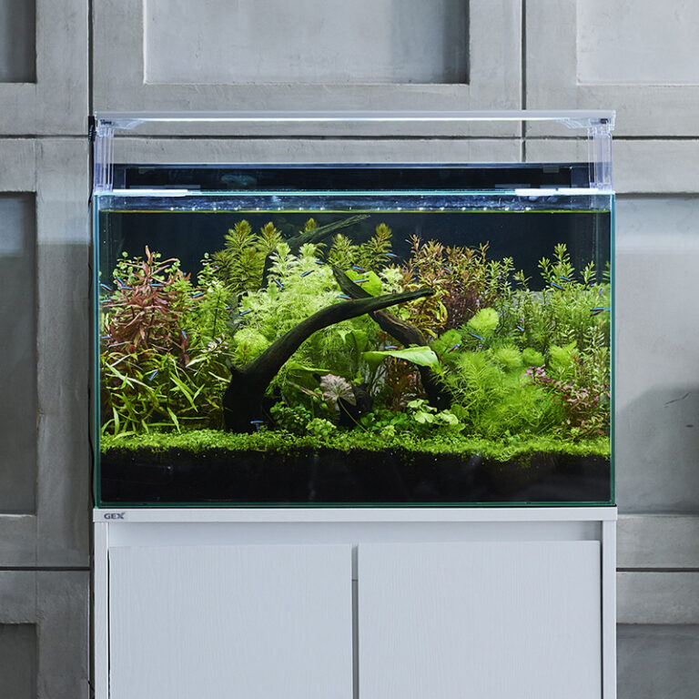 GEX aquarista Glassterior AGS SLIDE OF-230 / ジェックス株式会社 | GOOD AQUARIUM Design Award